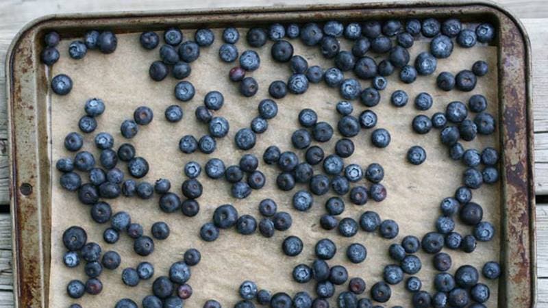 How to Freeze Fresh Fruit - BettyCrocker.com