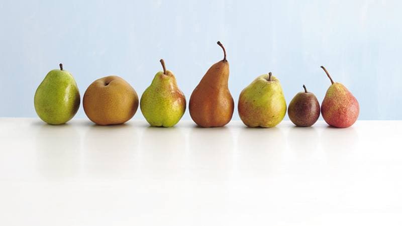 Types Of Pears List