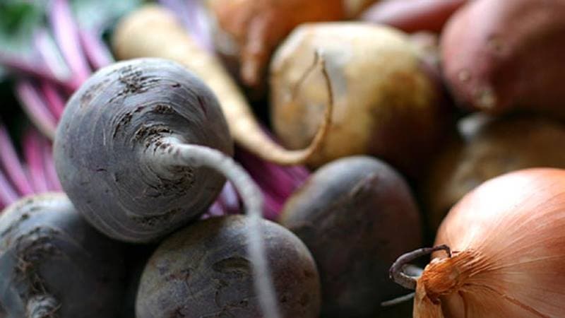 Round White Root Vegetable