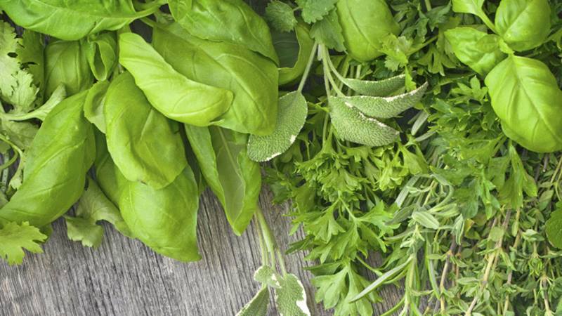 Cooking With Fresh Herbs - BettyCrocker.com