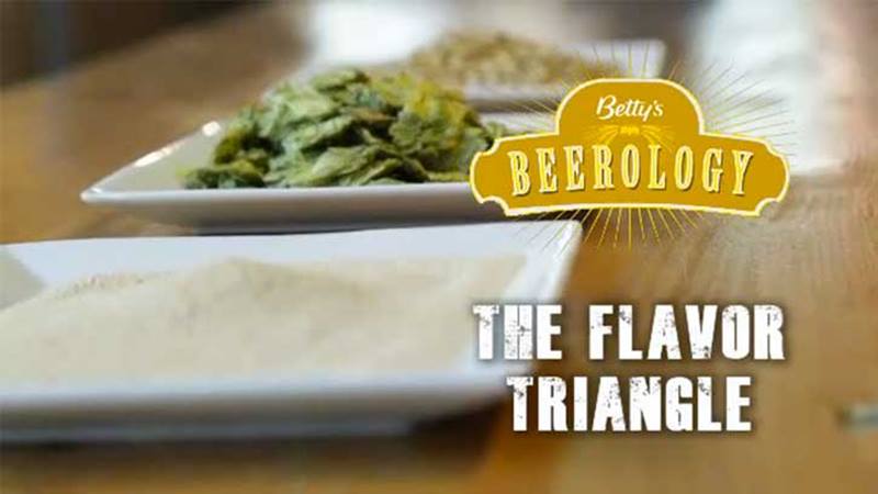 Beerology: The Flavor Triangle - BettyCrocker.com